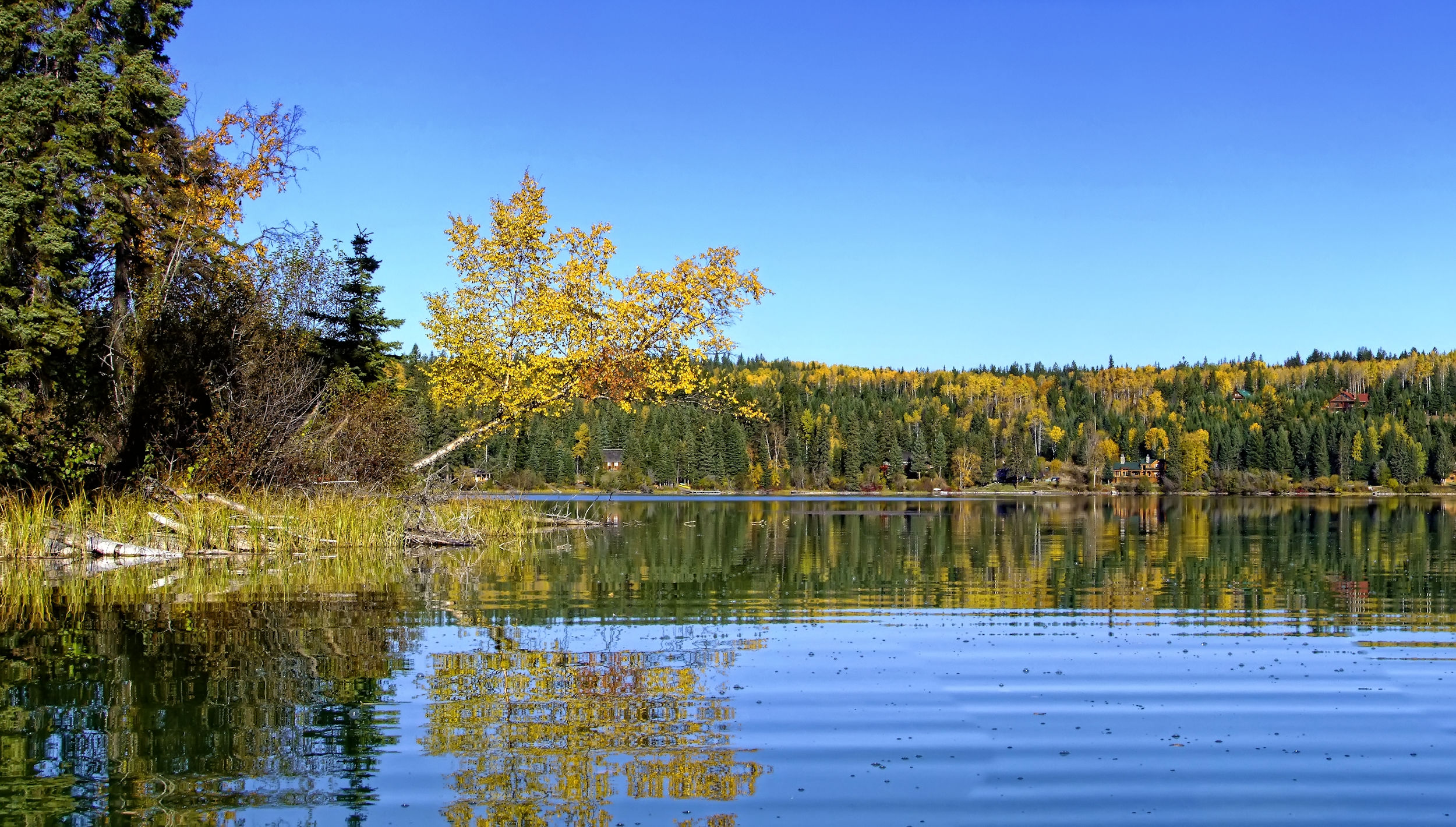 Bridge Lake Facts & Figures